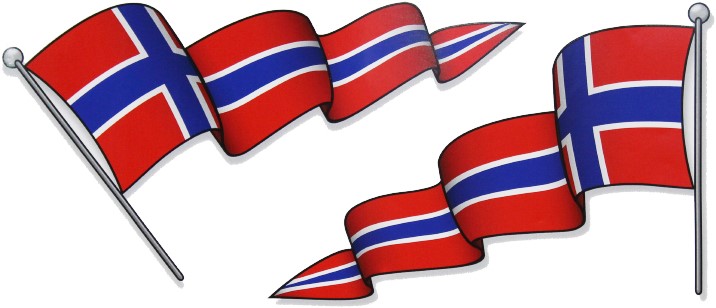 Wimpel Norwegen Truck Accessoires