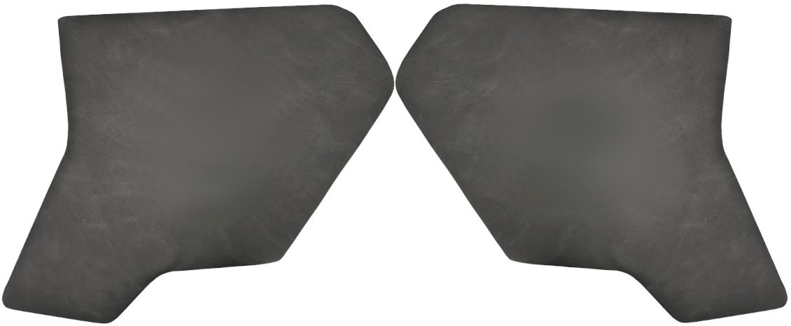 Doorpanels Scania Next Gen Black Truck Accessoires